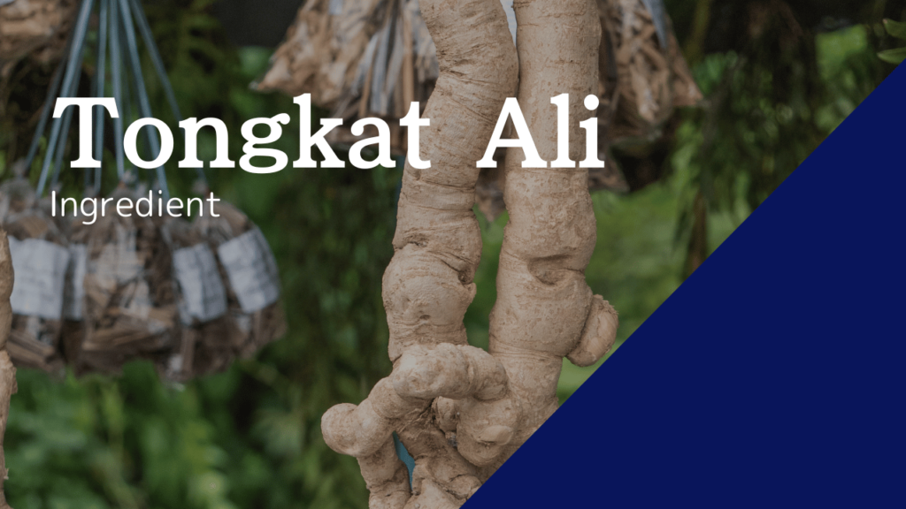 REVOXYトップページ - REVOXY公式サイト